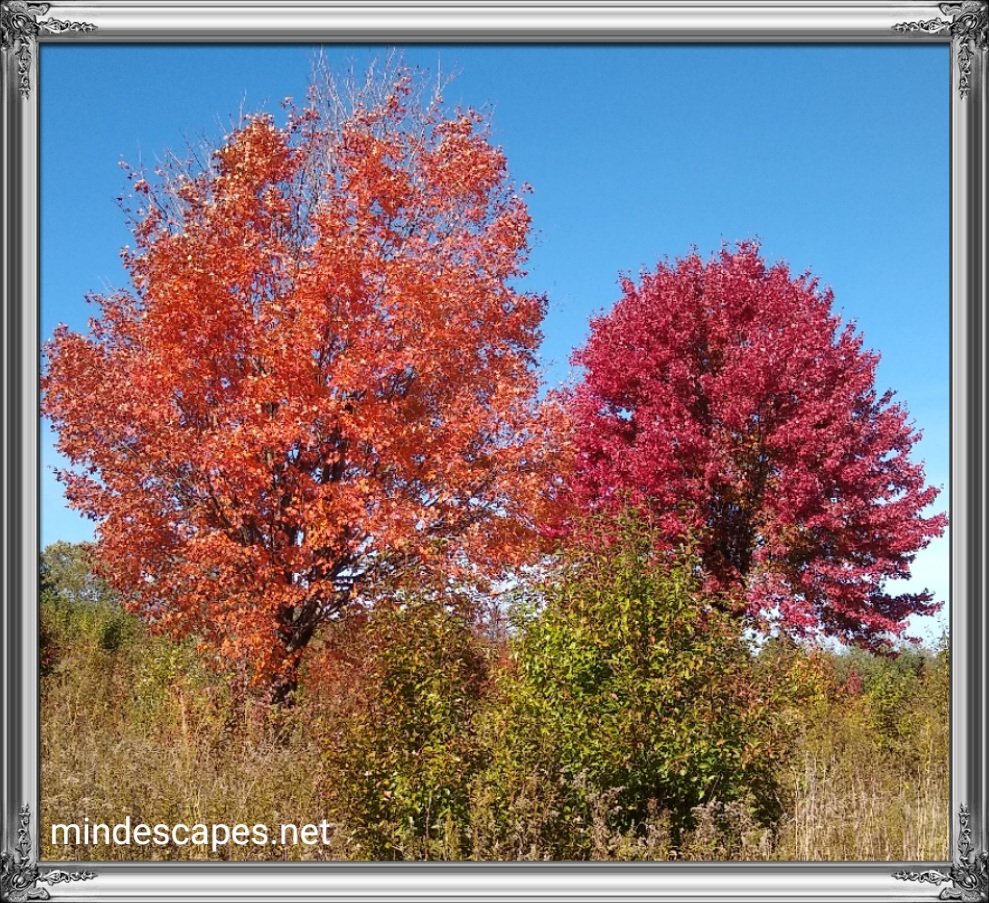 Fond Memories, A Remeniscing Poem – mindescapes.net – Art Works by Jim ...