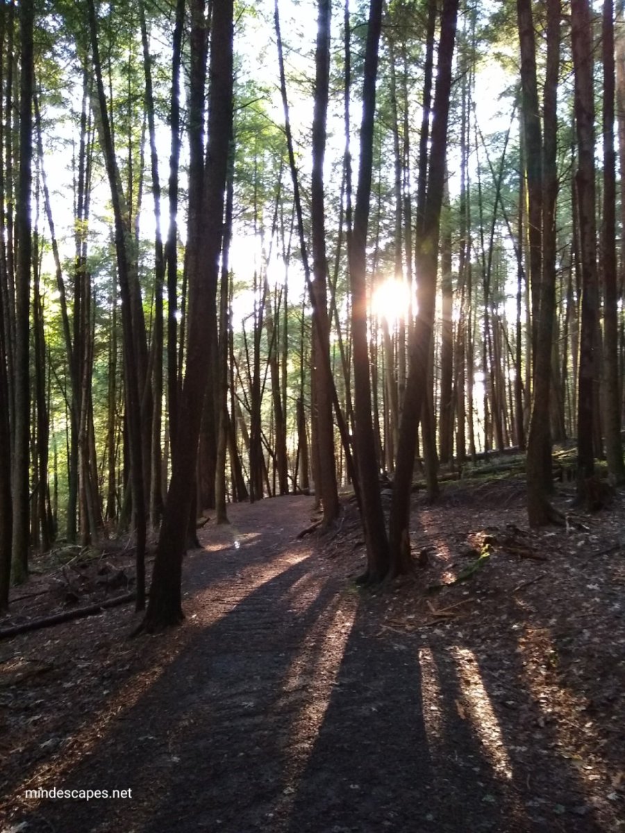 Happy Father’s Day 2021! – mindescapes.net – Art Works by Jim Sponseller